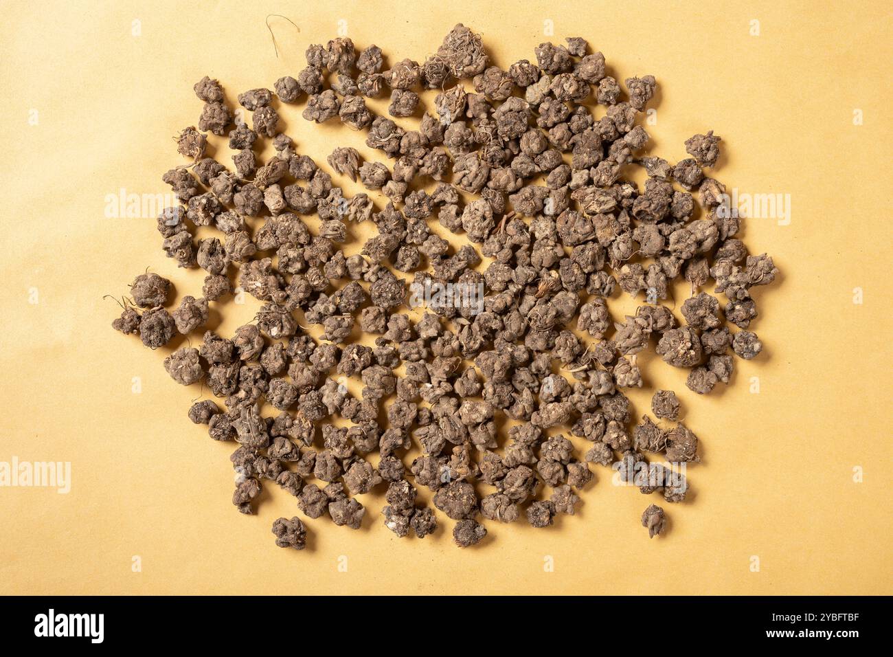 top view herb MaoZhuaCao or Radix Ranunculi Ternati or Ranunculus ...