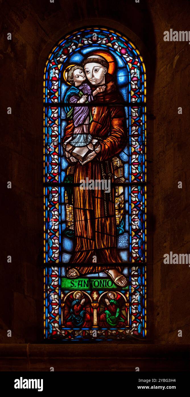 Saint Anthony of Padua. A stained-glass window in the Cathedral of ...