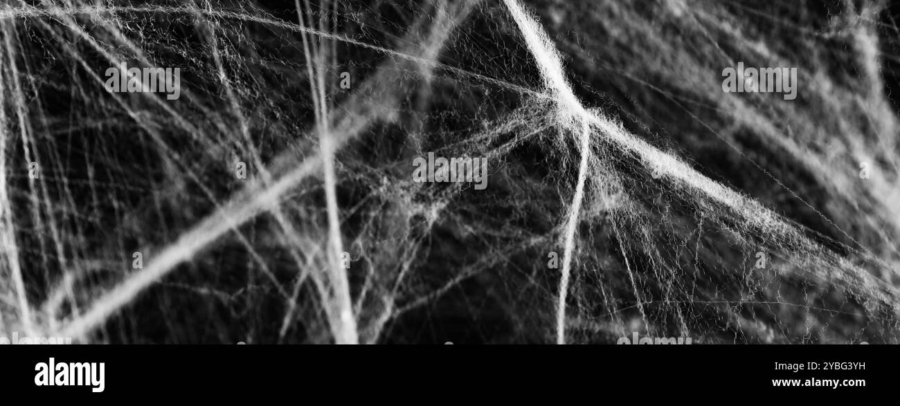 White cobweb on black background, banner design Stock Photo - Alamy