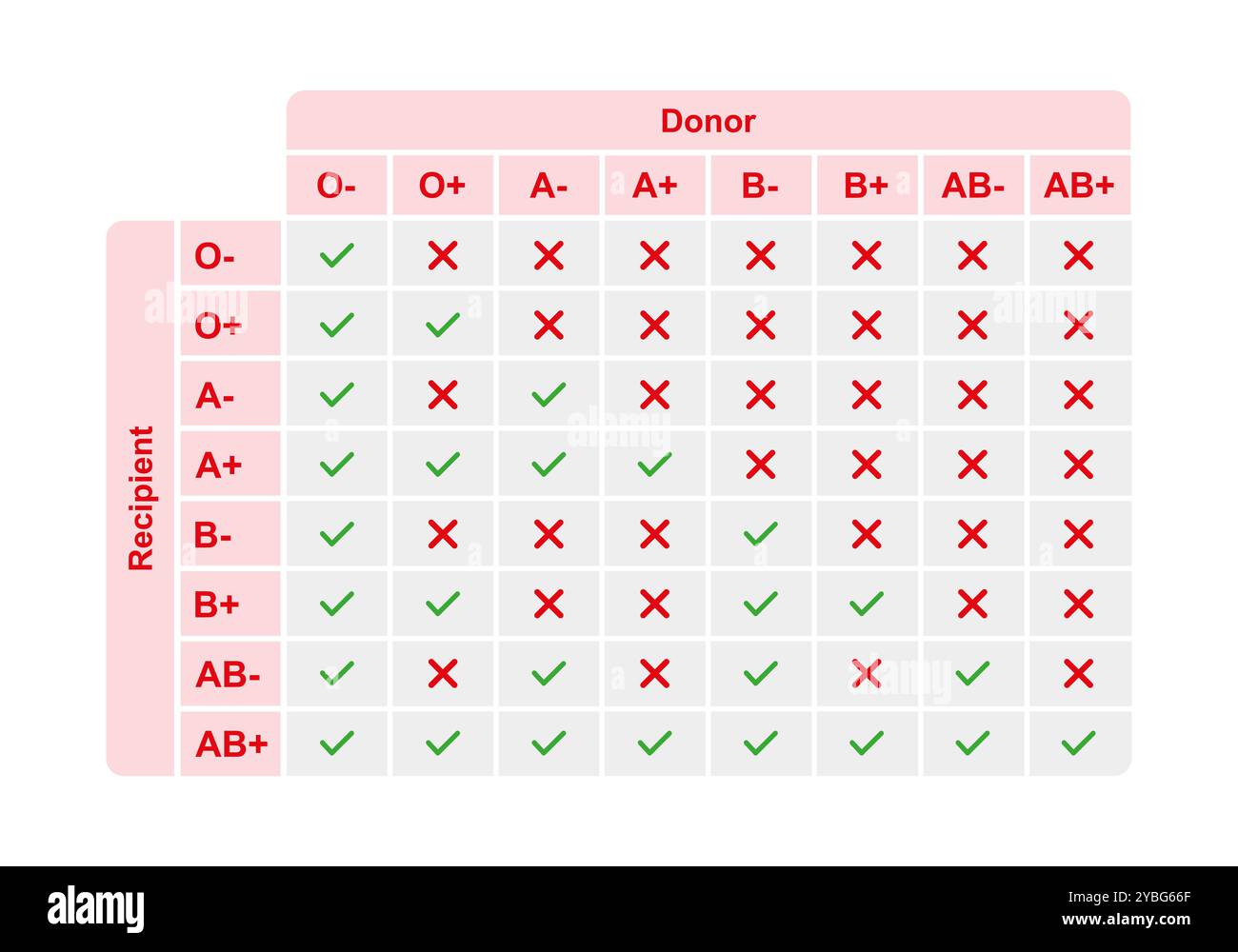 ABO blood compatibility, illustration Stock Photo - Alamy