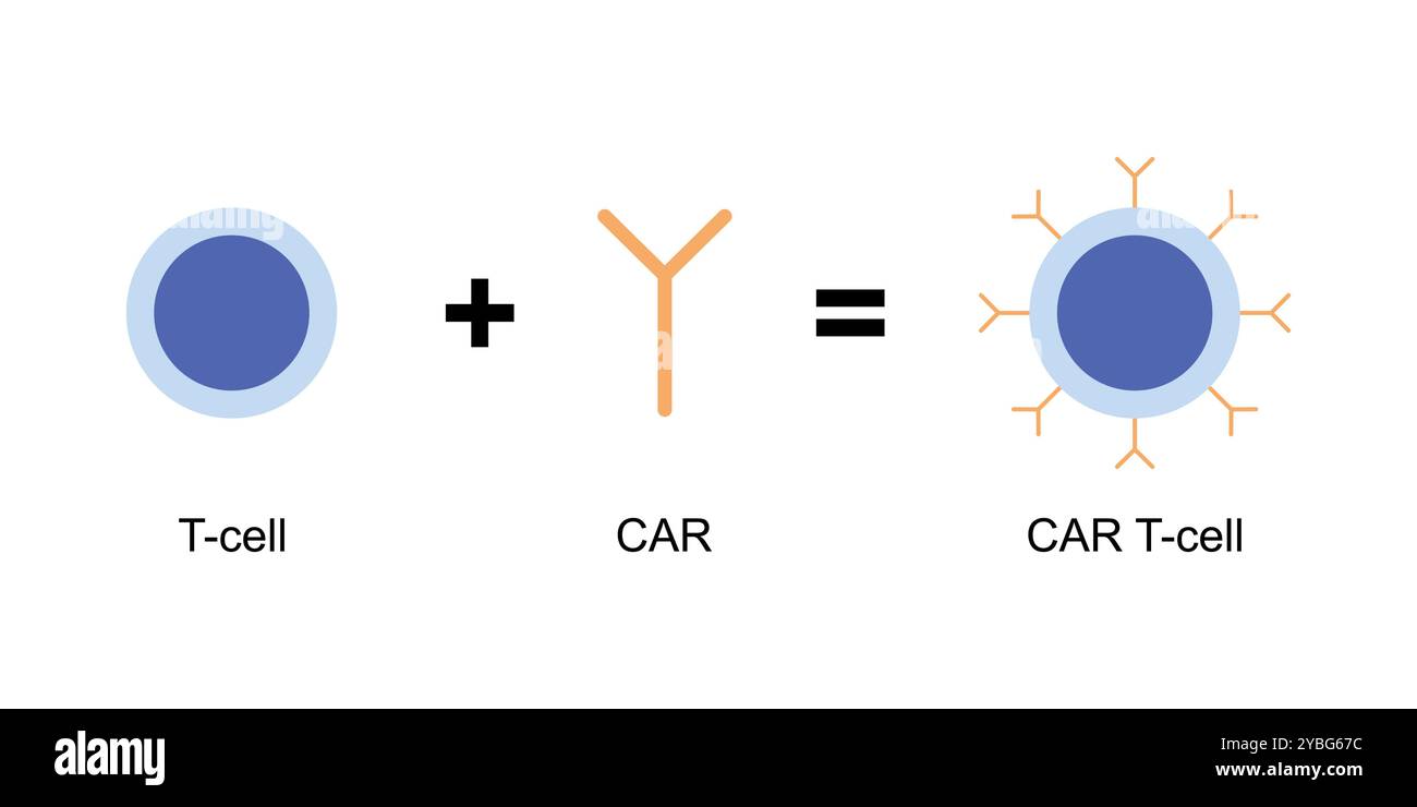 Car cell therapy illustration hi-res stock photography and images - Alamy