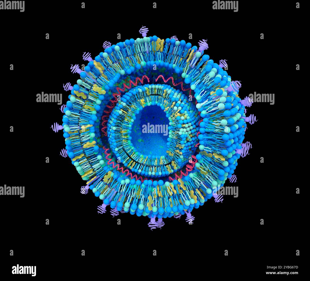 Lnp background hi-res stock photography and images - Alamy