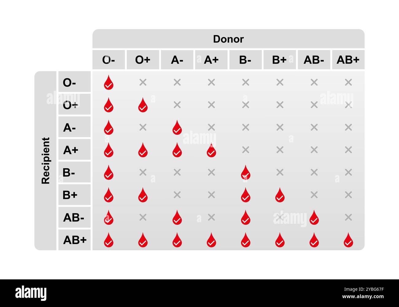 ABO blood compatibility, illustration Stock Photo - Alamy