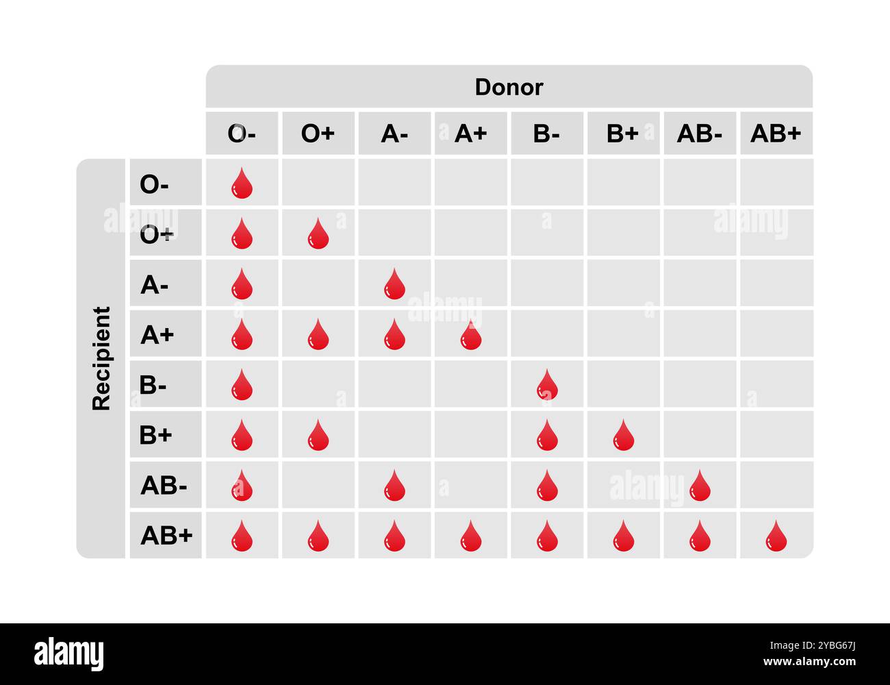 Abo blood compatibility hi-res stock photography and images - Alamy