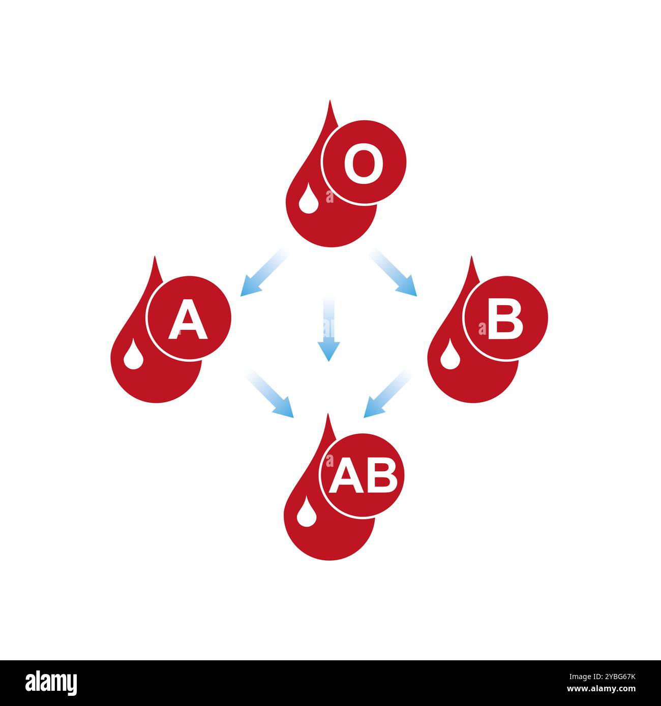 ABO blood compatibility, illustration Stock Photo - Alamy
