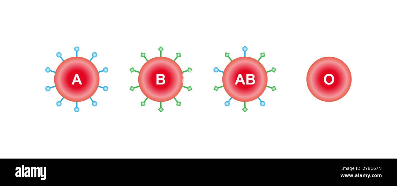 ABO blood groups, illustration Stock Photo - Alamy