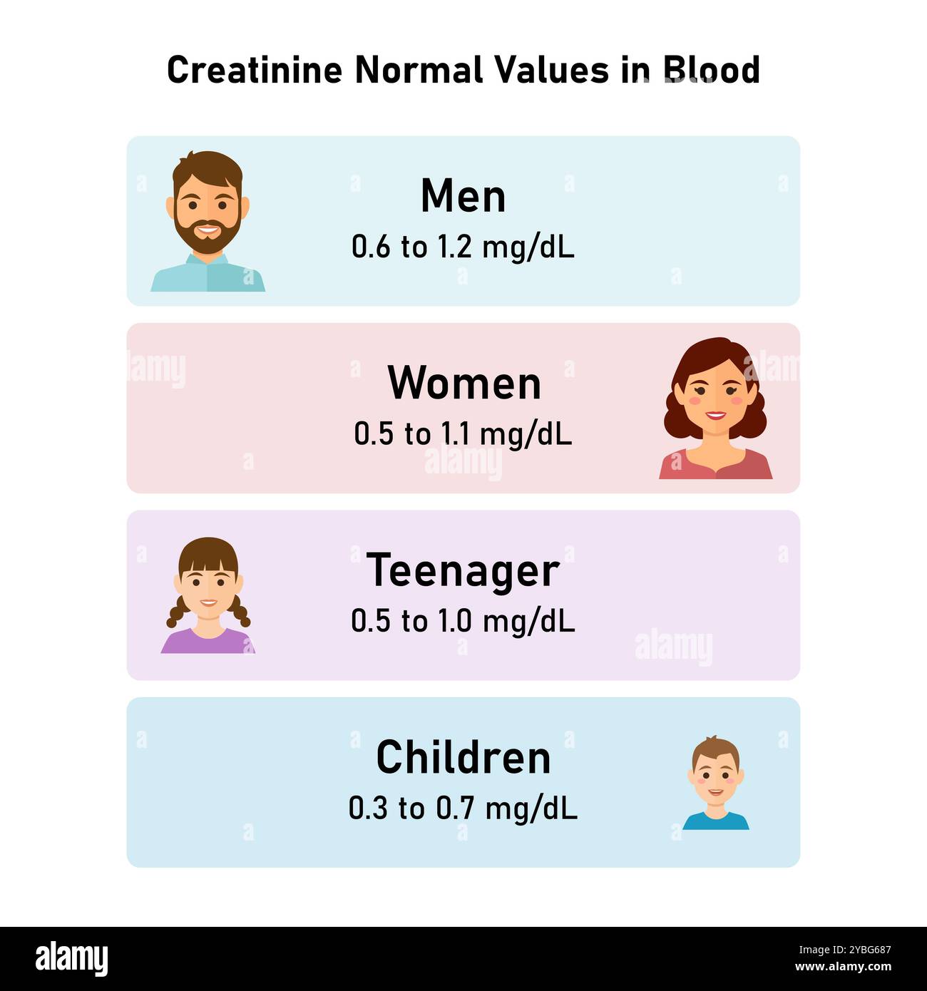 Creatinine levels, illustration Stock Photo - Alamy