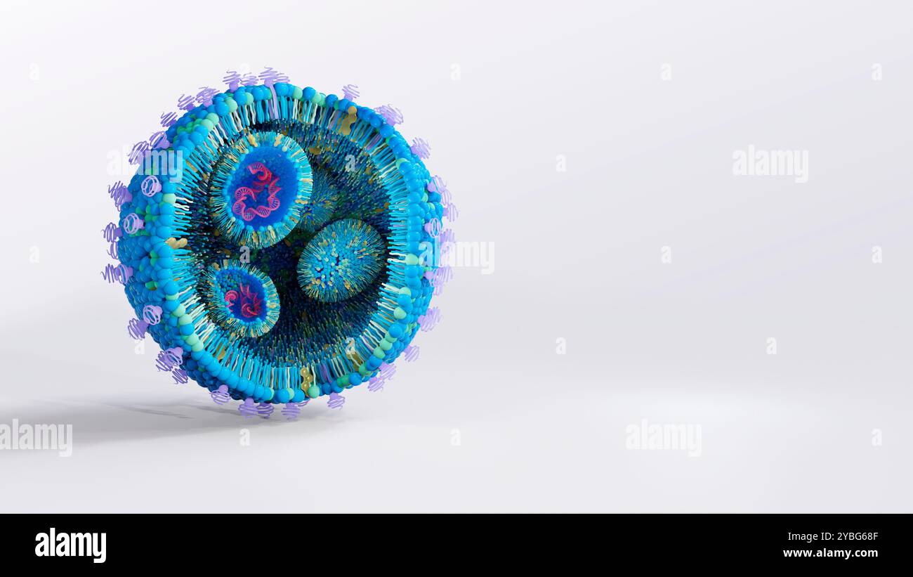 Lipid nanoparticle structure, illustration. Lipid nanoparticles (LNPs ... Lipid nanoparticle structure, illustration. Lipid nanoparticles (LNPs ...