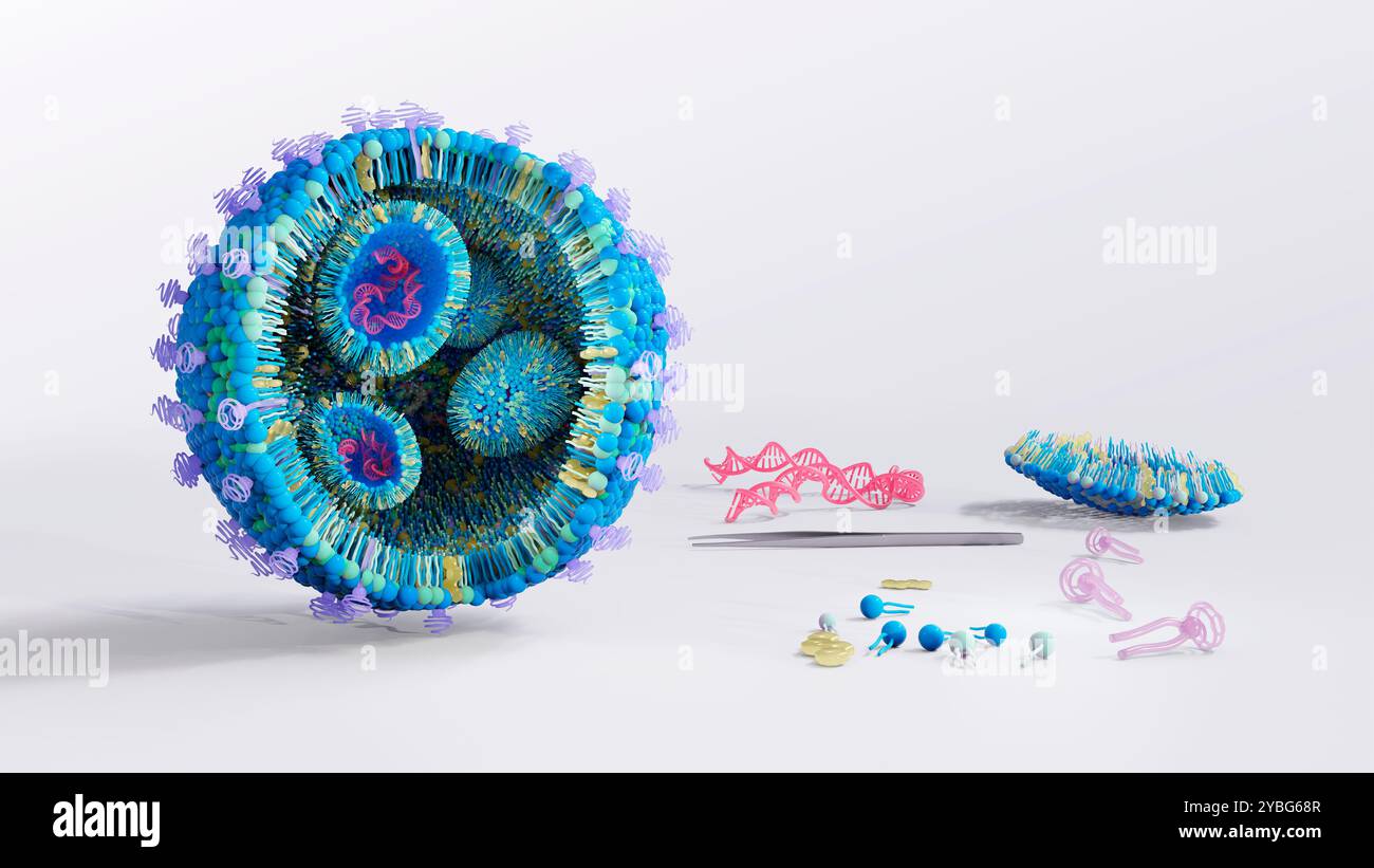 Lipid nanoparticle structure, illustration. Lipid nanoparticles (LNPs ...