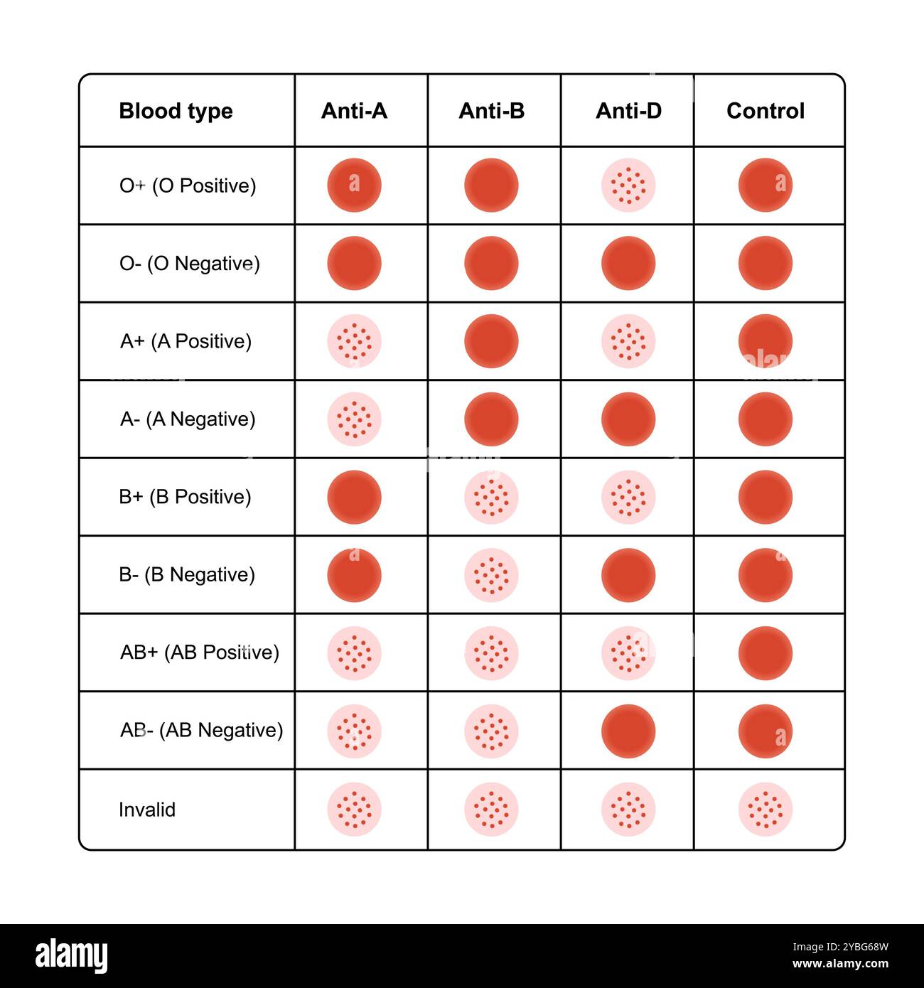 ABO blood groups, illustration Stock Photo - Alamy