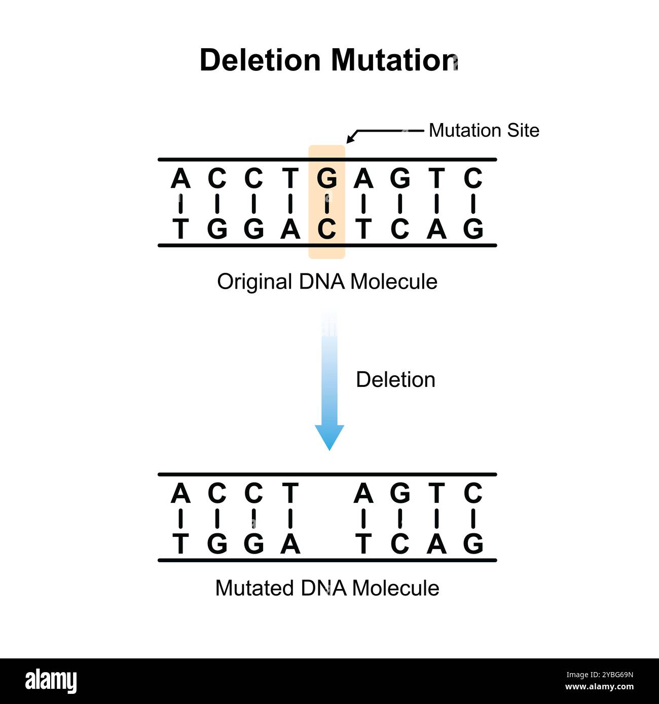 Deletion mutation, illustration Stock Photo - Alamy