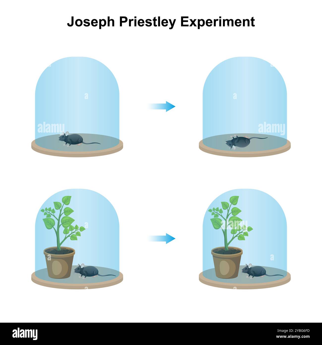 Joseph priestley experiment hi-res stock photography and images - Alamy