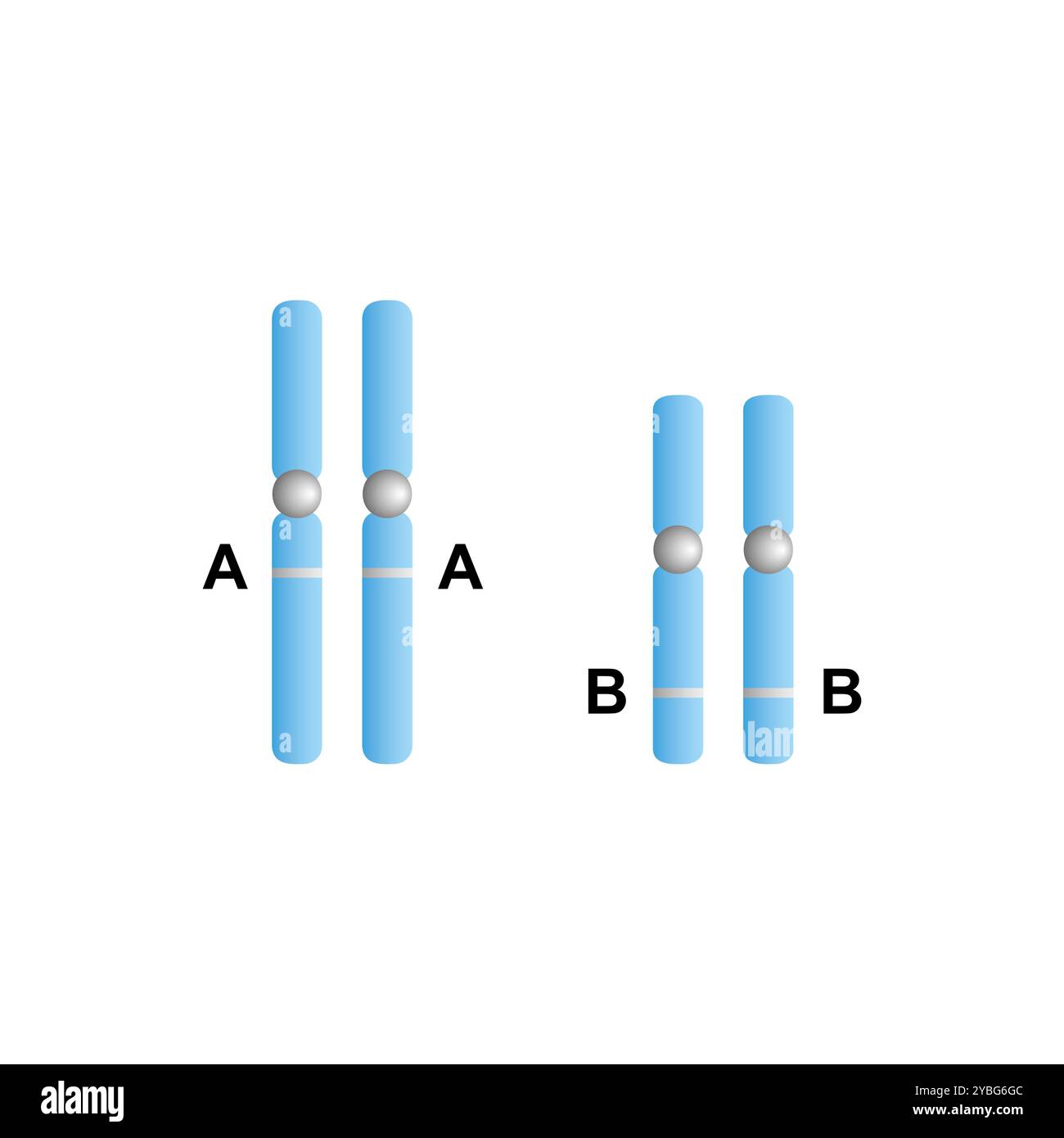 Unlinked hi-res stock photography and images - Alamy