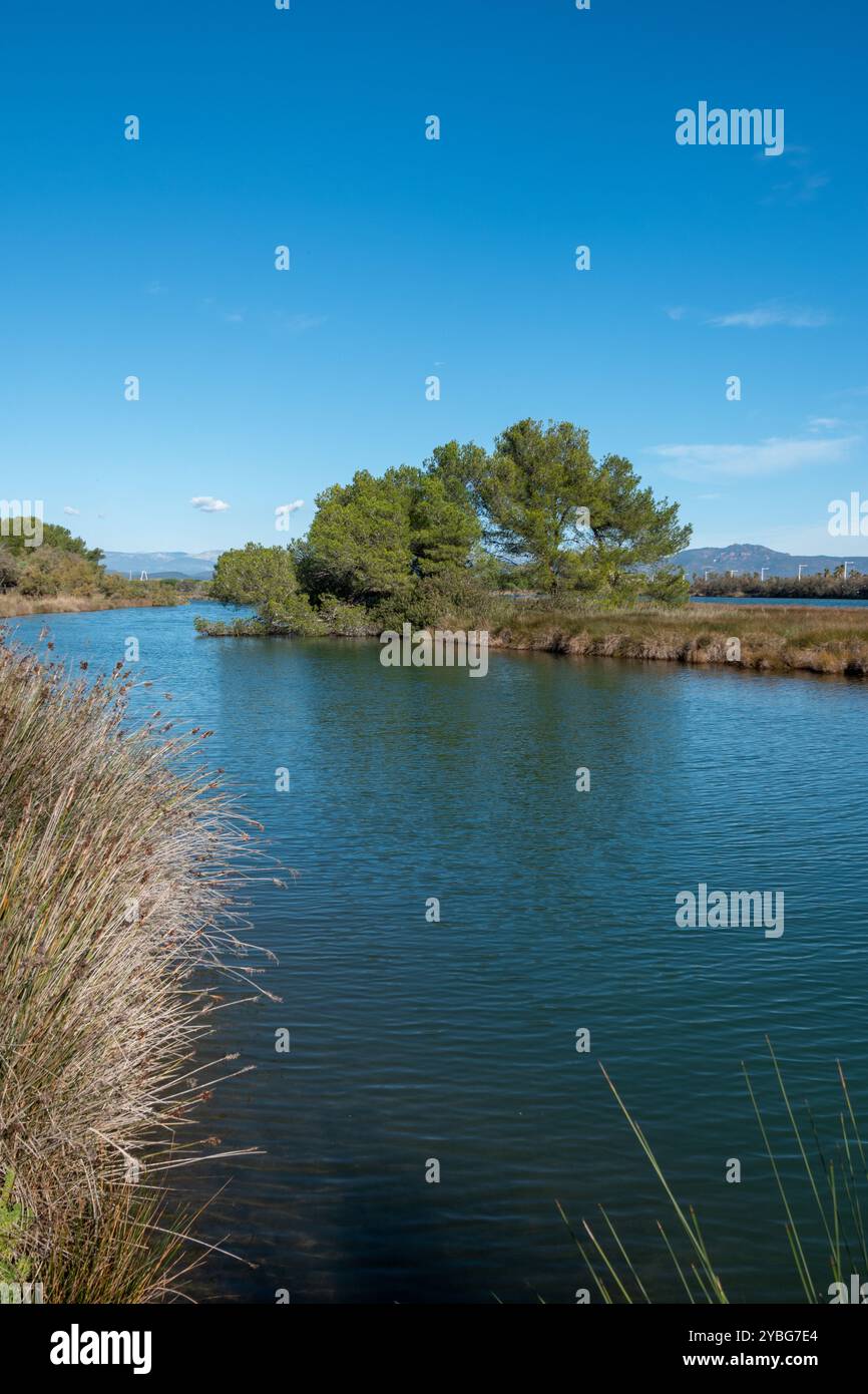 Ponds of Villepey natural reserve with bird observatory. In Esterel ...