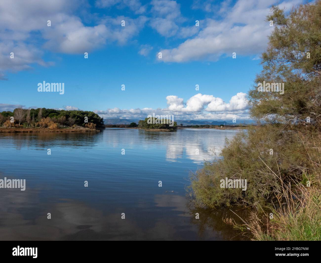 Ponds of Villepey natural reserve with bird observatory. In Esterel ...