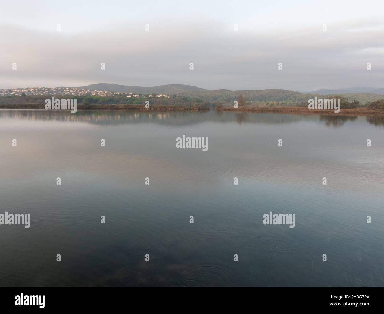 Ponds of Villepey natural reserve with bird observatory. In Esterel ...