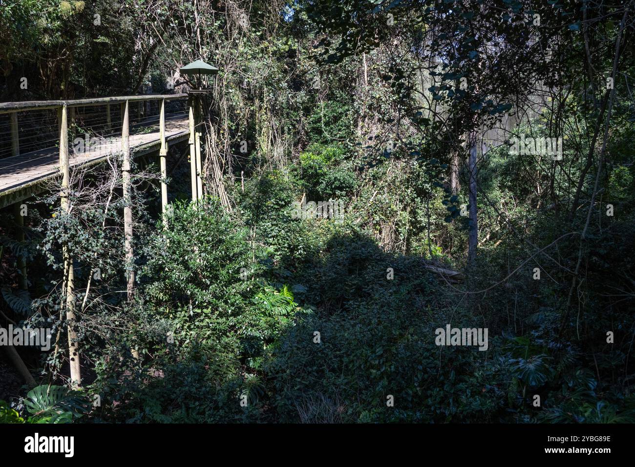 visitor walkway at the Birds of Eden aviary in South Africa Stock Photo ...