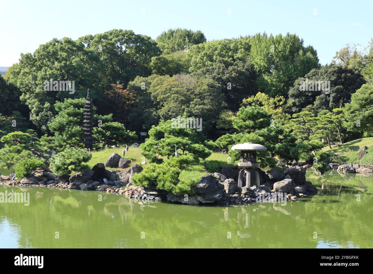 Dai-Sensui Pond in Kiyosumi Garden, Tokyo, Japan Stock Photo - Alamy