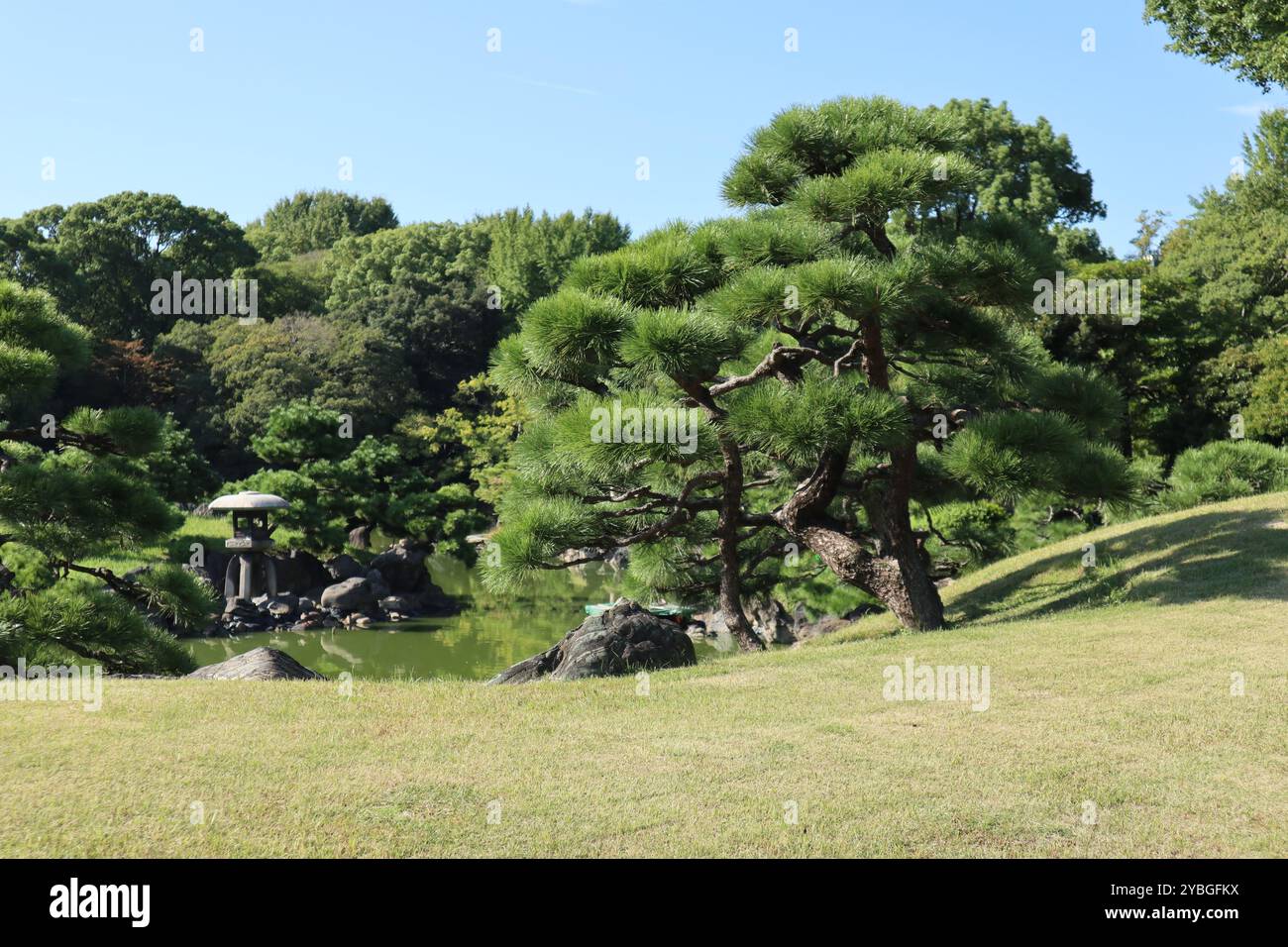 Dai-Sensui Pond and Japanese black pine trees in Kiyosumi Garden, Tokyo ...