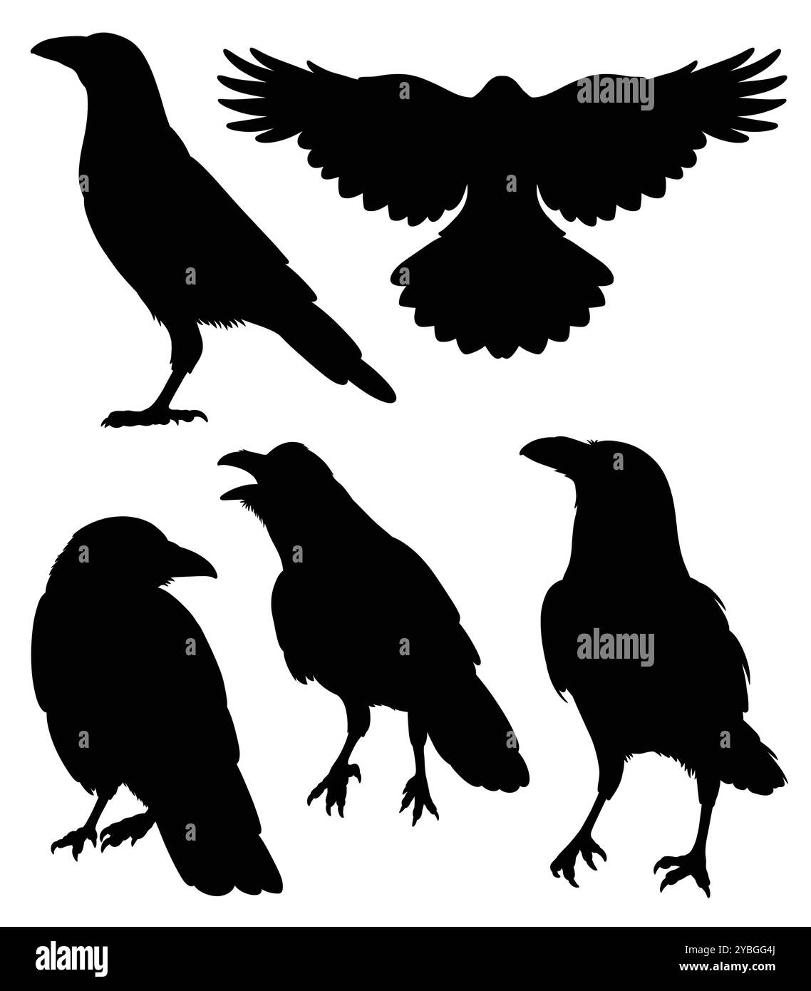 Set crow silhouette vector hi-res stock photography and images - Alamy