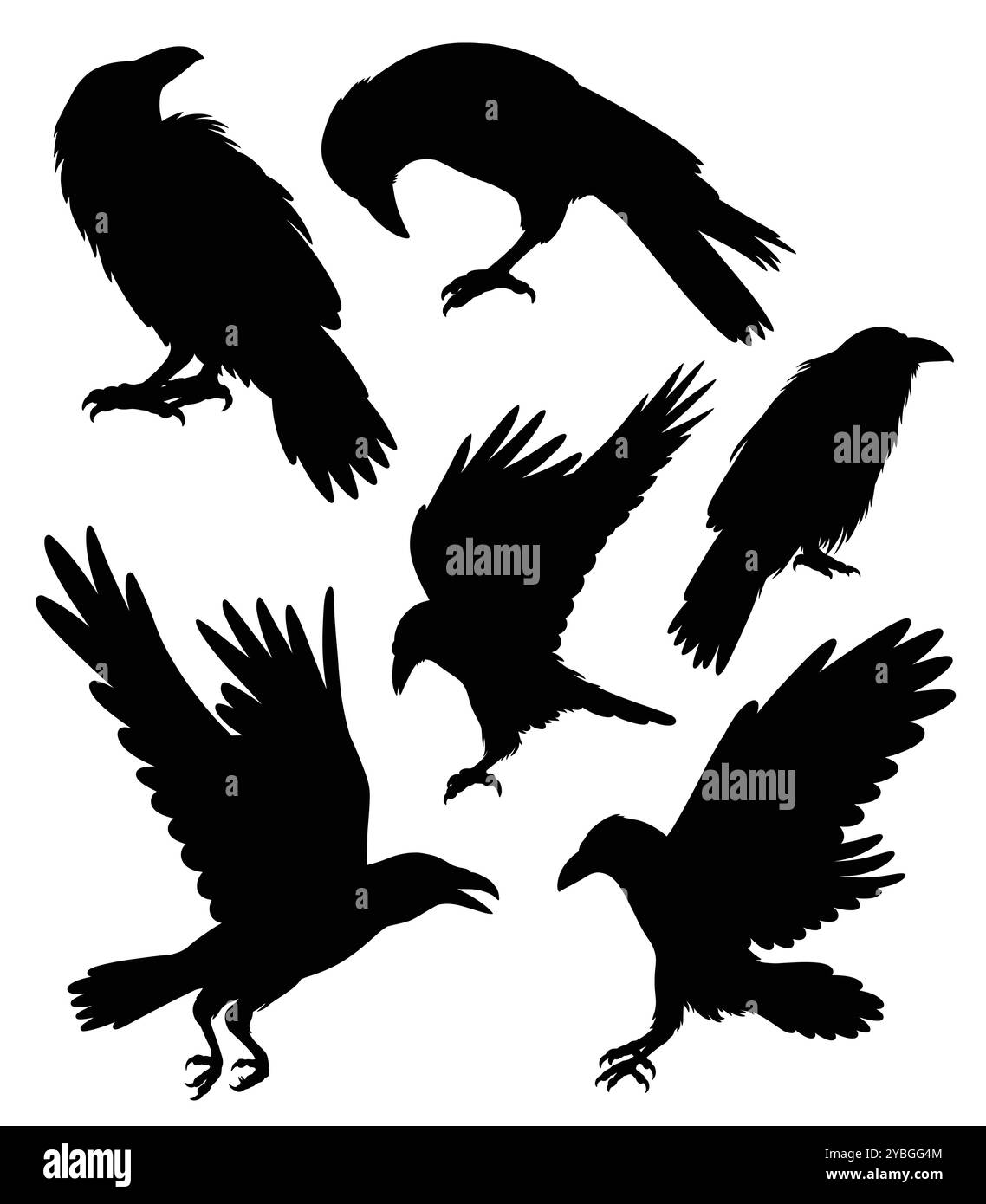 crow bird animal flying silhouette Stock Vector Image & Art - Alamy