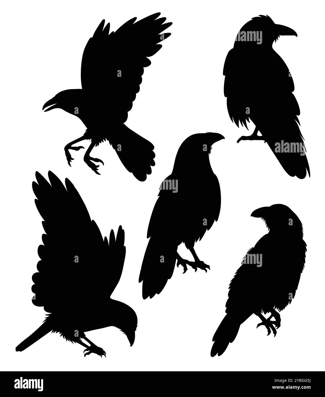 Black bird crow Stock Vector Images - Alamy