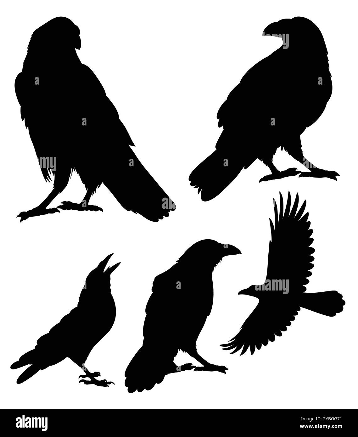 Blackbird silhouette Stock Vector Images - Alamy