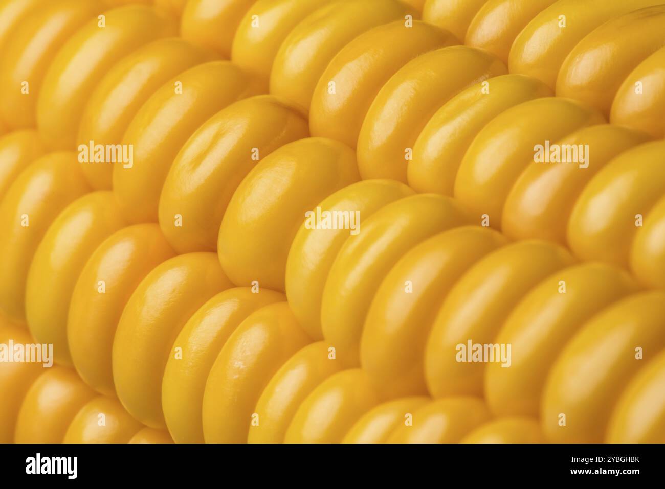 Abstract detail of corn on the cob Stock Photo - Alamy