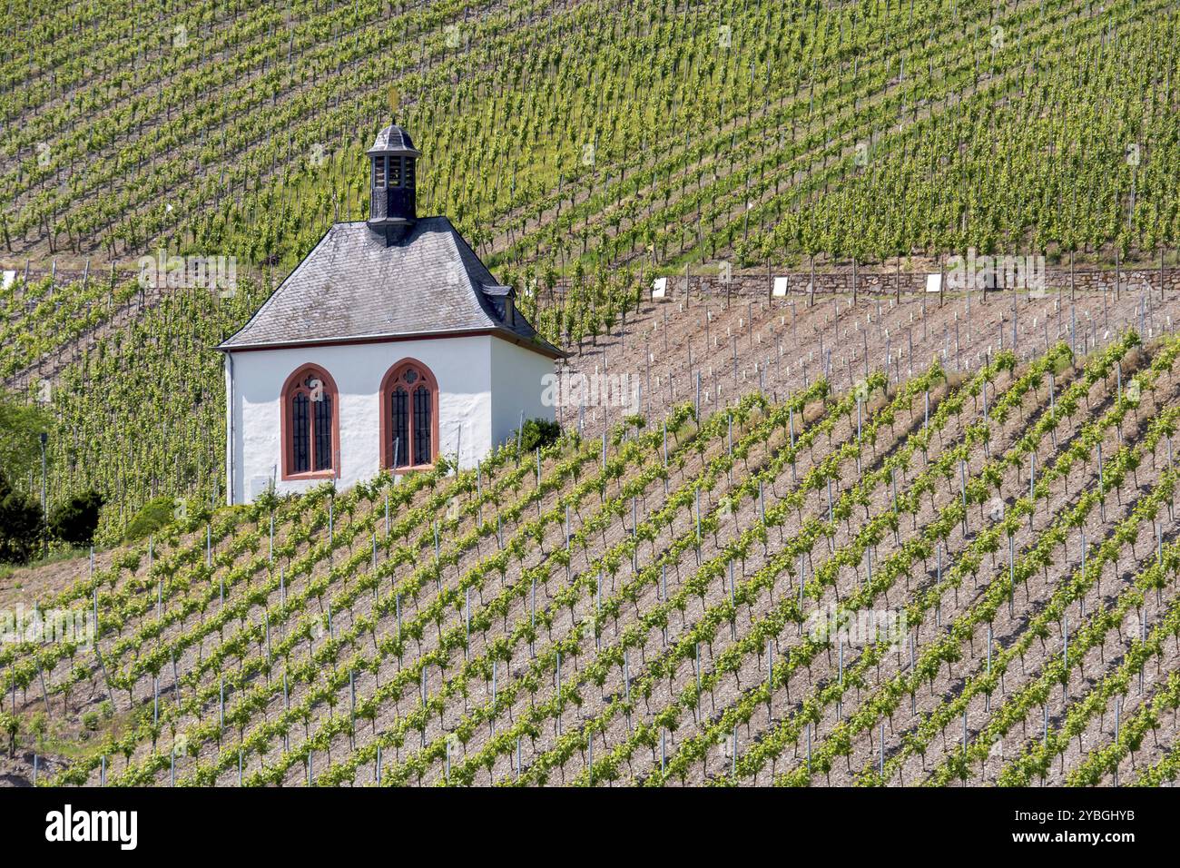 Kesselstatt Chapel in the vineyards near Kroev, burial chapel, Moselle ...