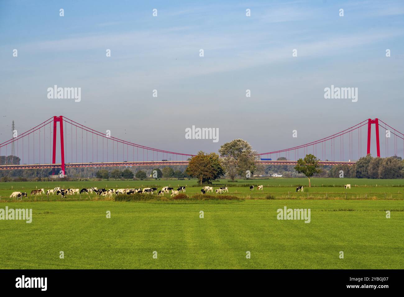 The Rhine bridge Emmerich, federal road B220, longest suspension bridge ...