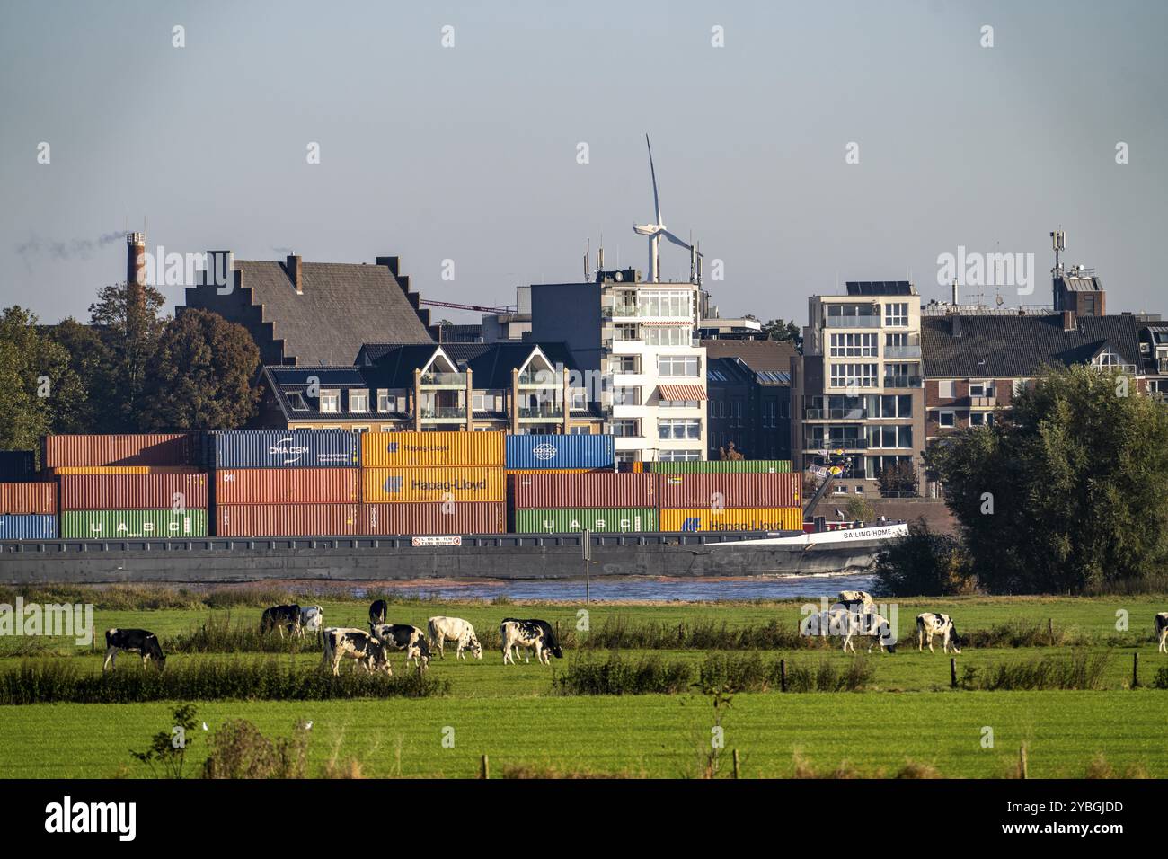 Transporting cattle container hi-res stock photography and images - Alamy