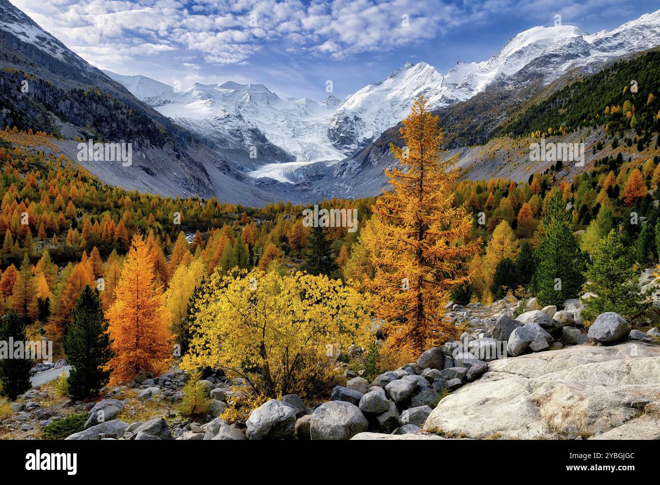 Autumn-coloured valley at dawn, Morteratsch, Engadin, Canton ...