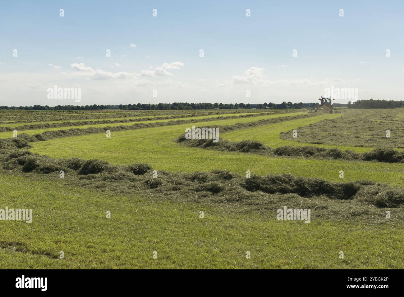 Tractor with tedder on a large pasture Stock Photo - Alamy