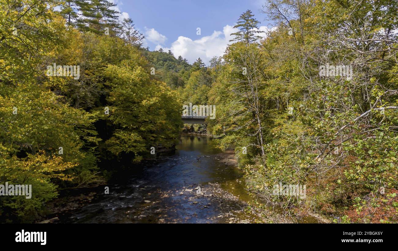 Aerial view of the changing leaves in autumn near Avery County, North ...