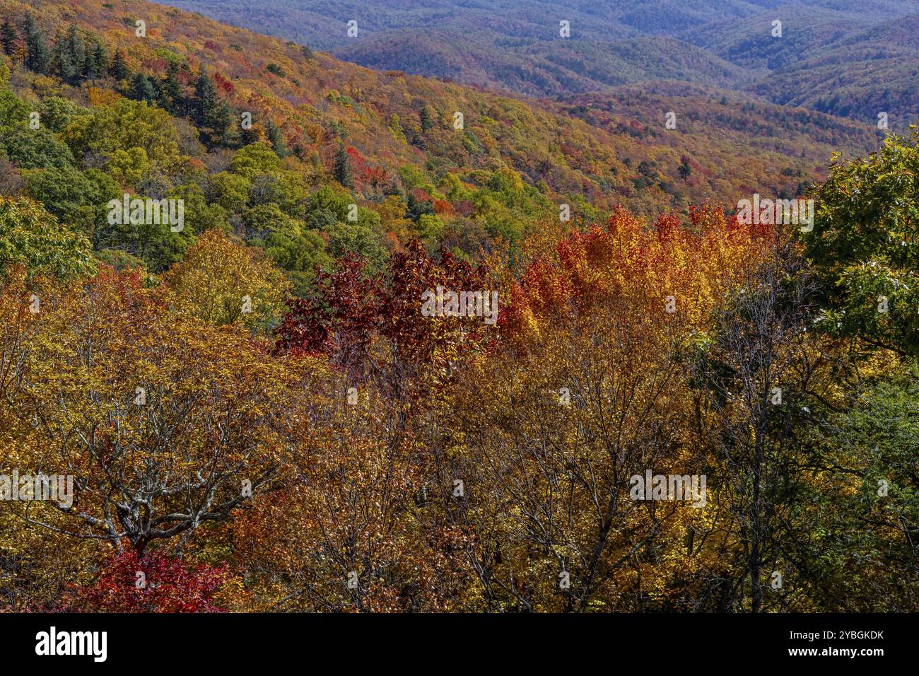 Beautiful shot changing from above hi-res stock photography and images ...