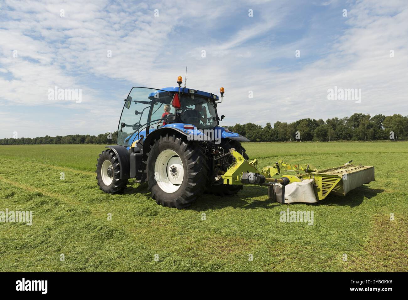 Pasture mowing with blue tractor and mower Stock Photo - Alamy