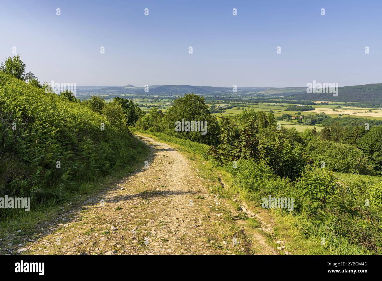 Landscape near Great Broughton, North Yorkshire, England, UK Stock ...