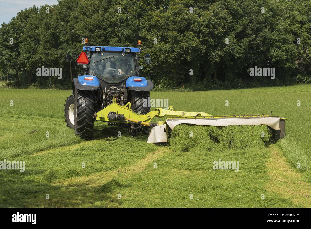Pasture mowing with blue tractor and mower Stock Photo - Alamy
