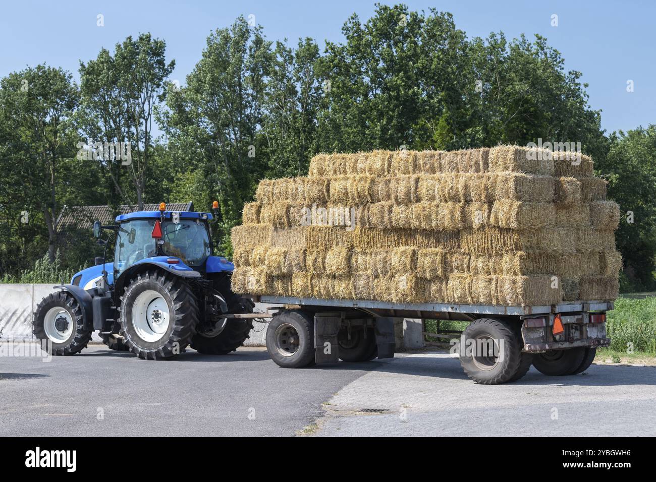 Blue tractor with old farm wagon with flat rectangular straw bales ...