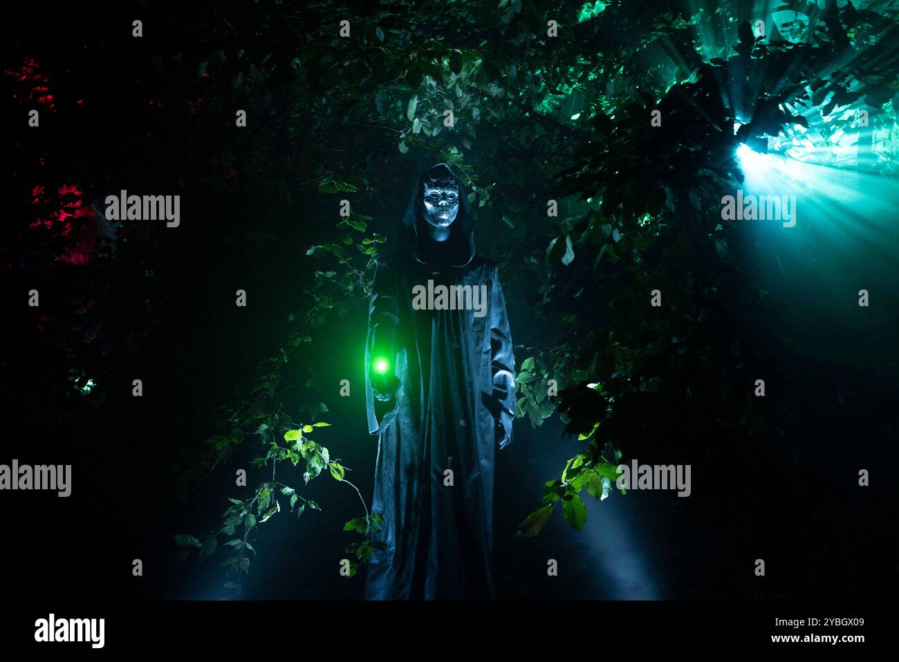 Montauban, France. 18th Oct, 2024. Harry Potter the Forbidden Forest ...