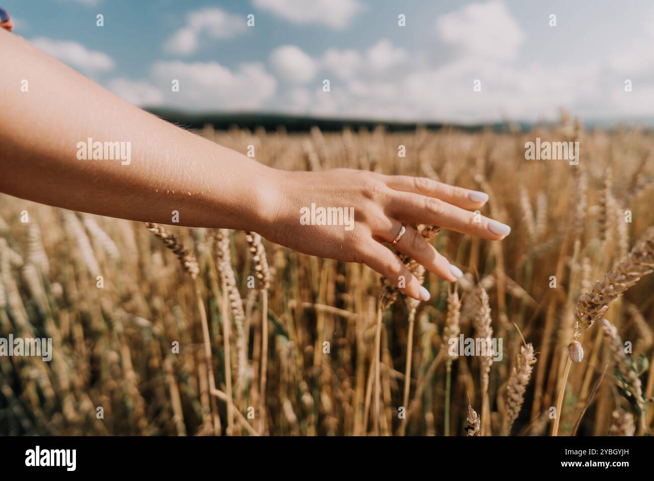 Hand Reaching Through Wheat Field Stock Photo - Alamy