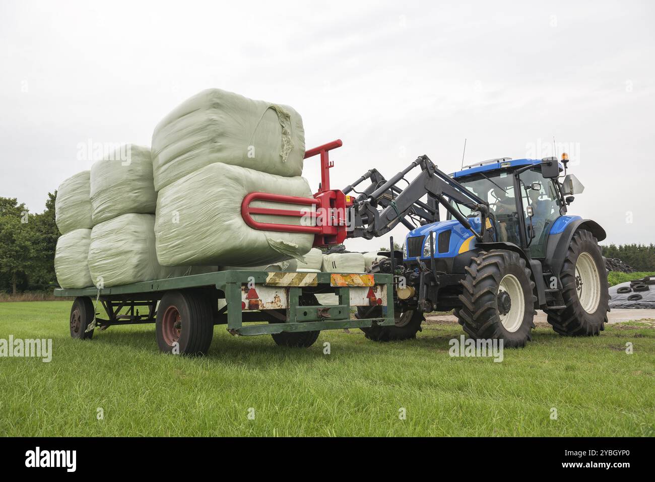 Loading plastic hay bales on a flat cart by a blue tractor Stock Photo ...