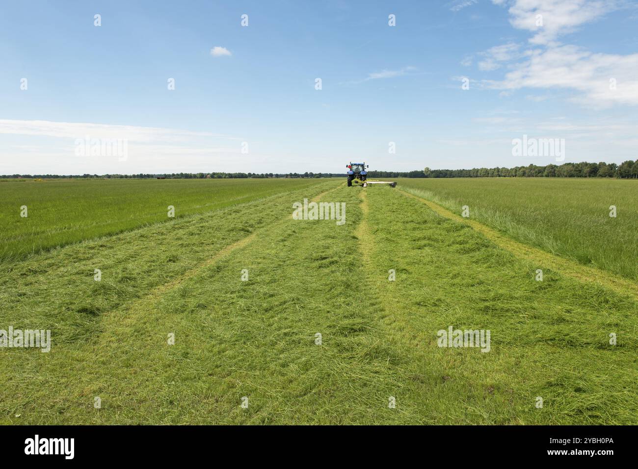 Agriculture, pasture mowing with blue tractor Stock Photo - Alamy
