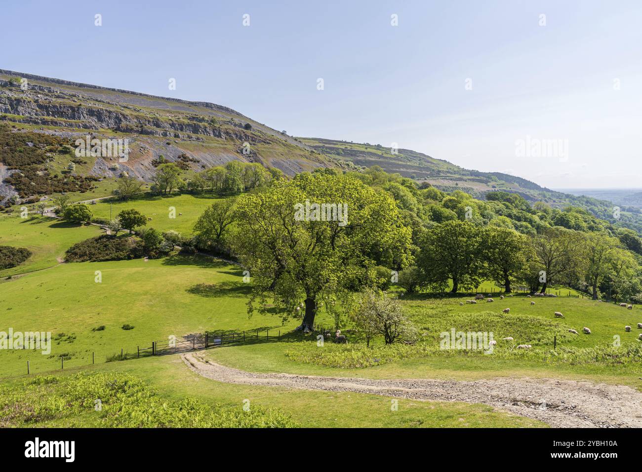 Landscape near Castell Dinas Bran, near Llangollen in Denbighshire ...