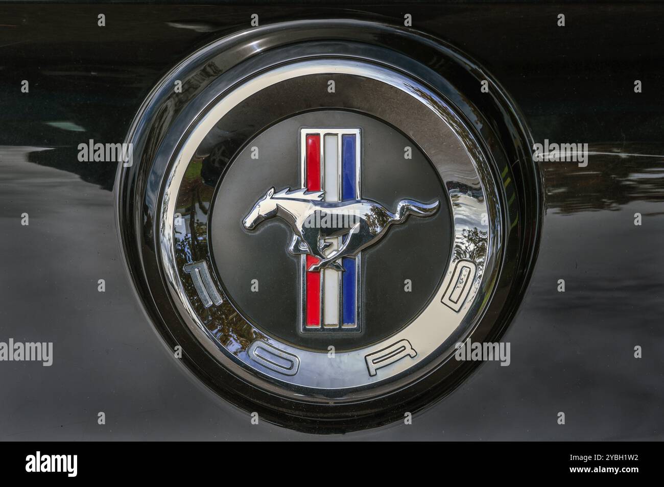 Logo of Ford Mustang limeted Edition 2010, Germany, Europe Stock Photo ...