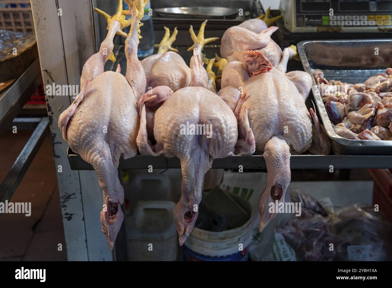 Market, meat hall, chicken, old town, Port Louis, Mauritius, Africa ...