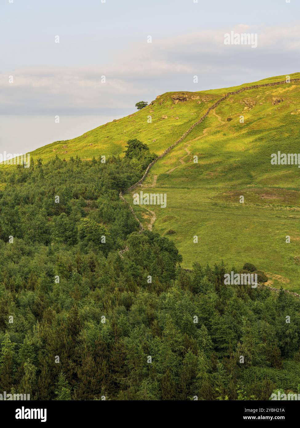 Landscape near Great Broughton, North Yorkshire, England, UK Stock ...
