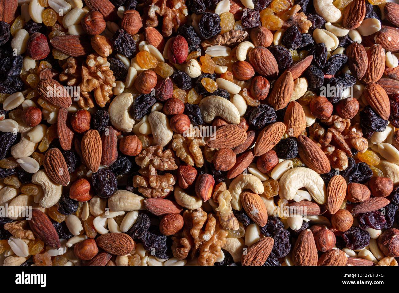 Mixed Nuts: Almonds, Walnuts, Cashews, Peanuts, Hazelnuts, Dried Prunes ...
