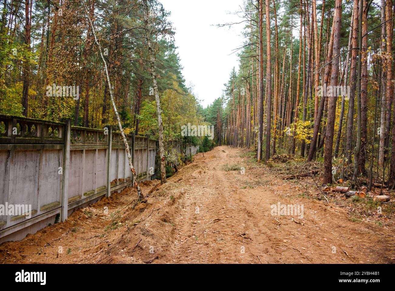 Cutting a clearing for laying an underground gas line along the fence ...