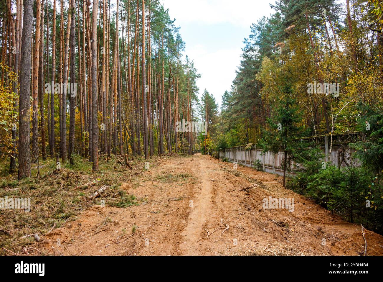 Cutting a clearing for laying an underground gas line along the fence ...